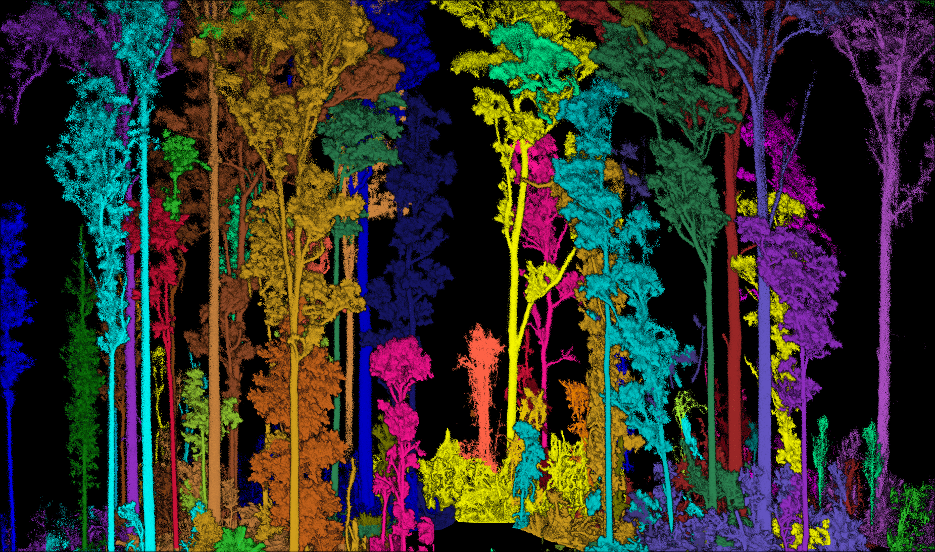 LiDAR data and digital twins for better forest management - Emesent